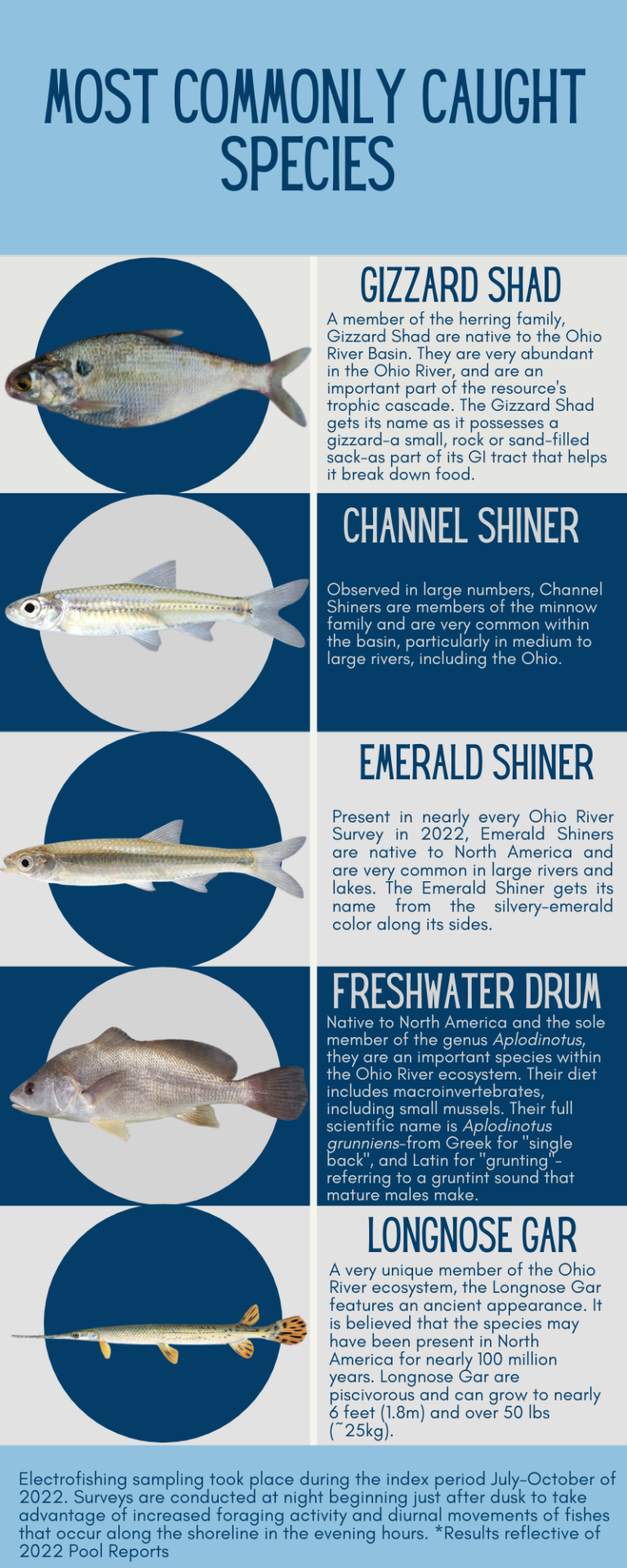 Ohio River Ecosystem - ORSANCO | ORSANCO