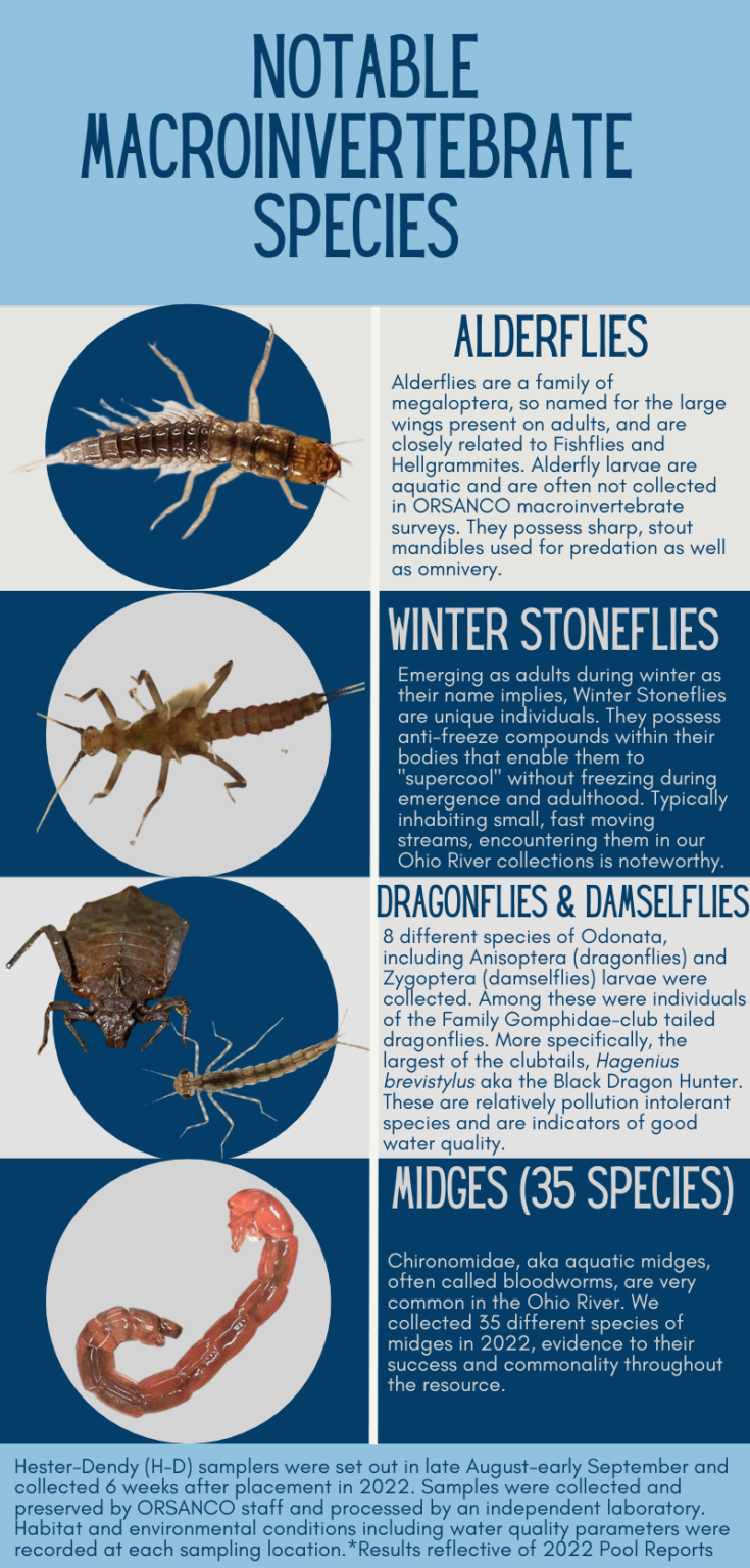 Ohio River Ecosystem - ORSANCO | ORSANCO